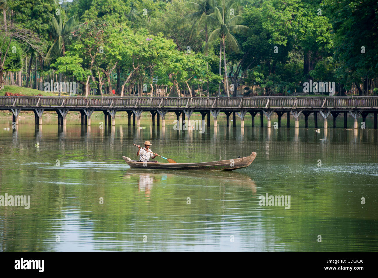 the Kandawgyi lake in the City of Yangon in Myanmar in Southeastasia ...