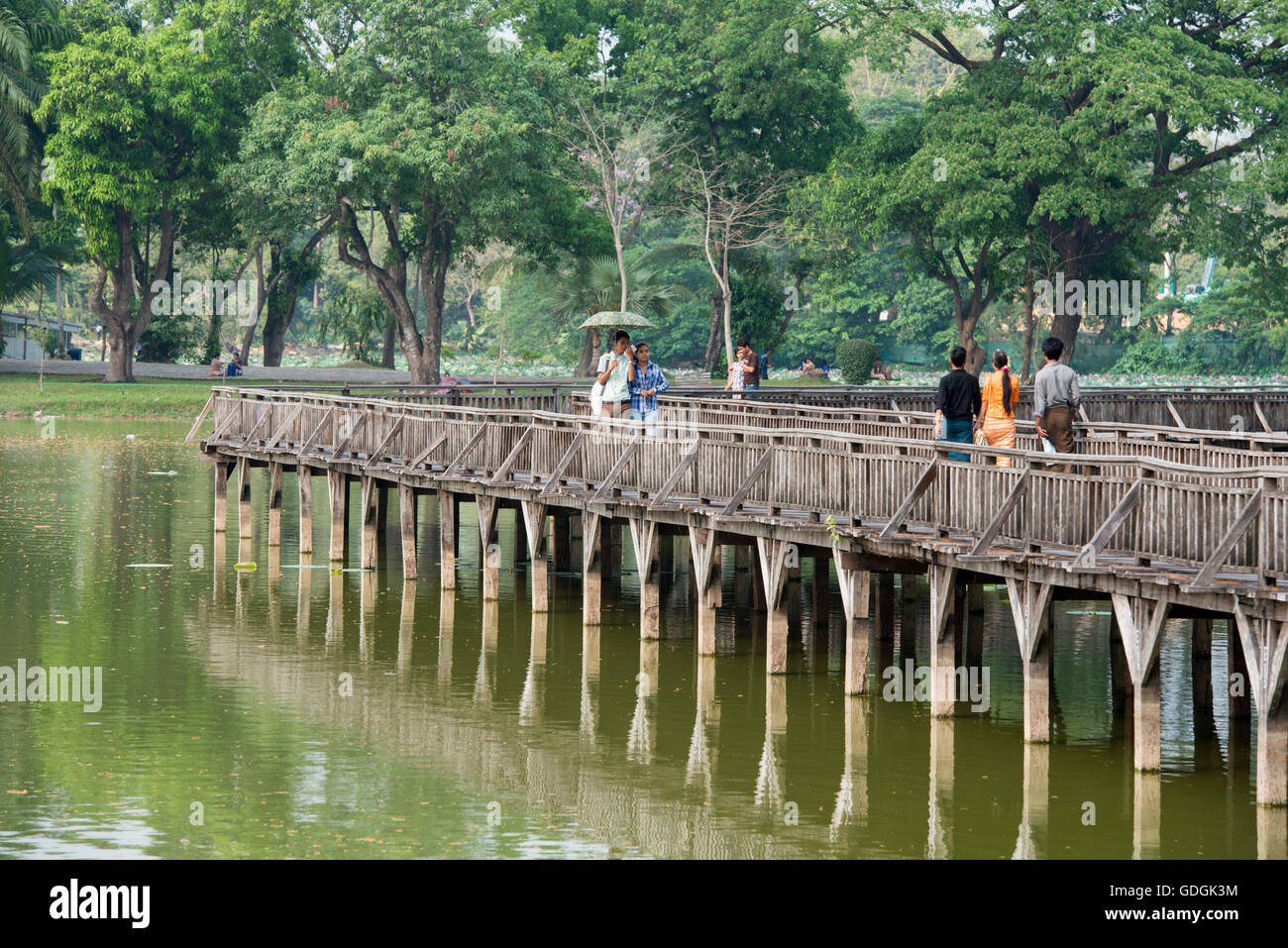 the Kandawgyi lake in the City of Yangon in Myanmar in Southeastasia ...