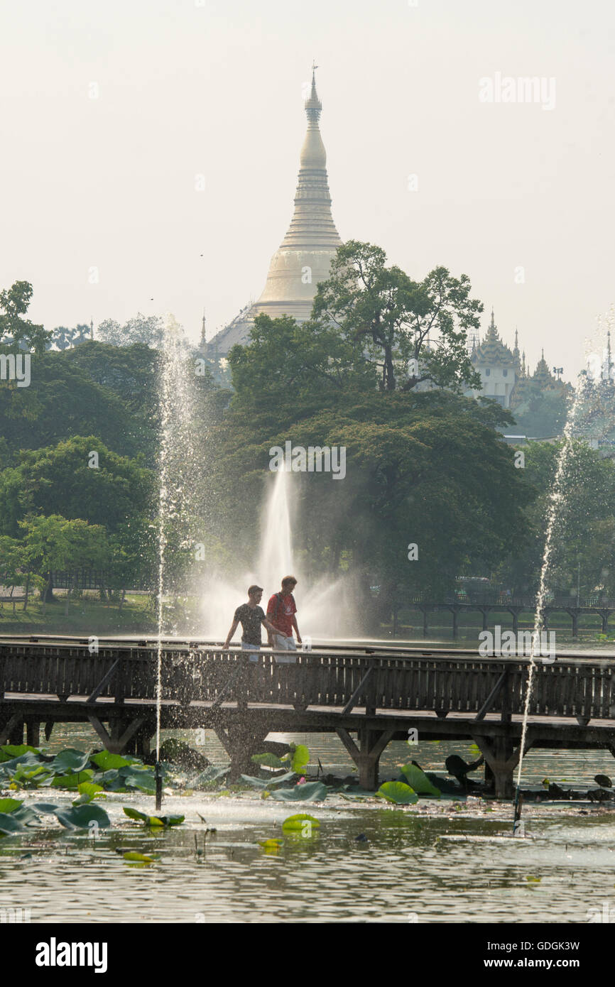 the Kandawgyi lake in the City of Yangon in Myanmar in Southeastasia ...
