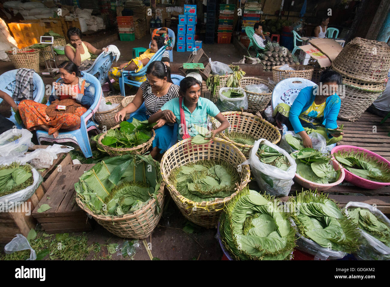 Betelnut in asia hi-res stock photography and images - Alamy