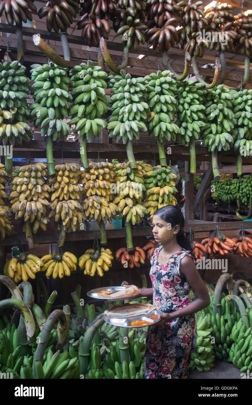 a big Banana Shop in a Market near the City of Yangon in Myanmar in ...