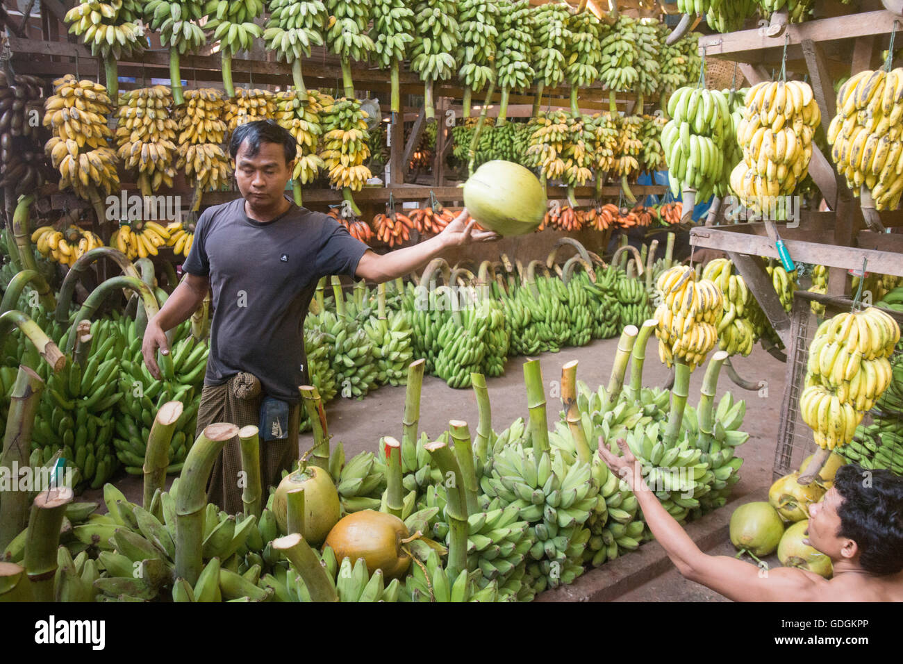 a big Banana Shop in a Market near the City of Yangon in Myanmar in ...