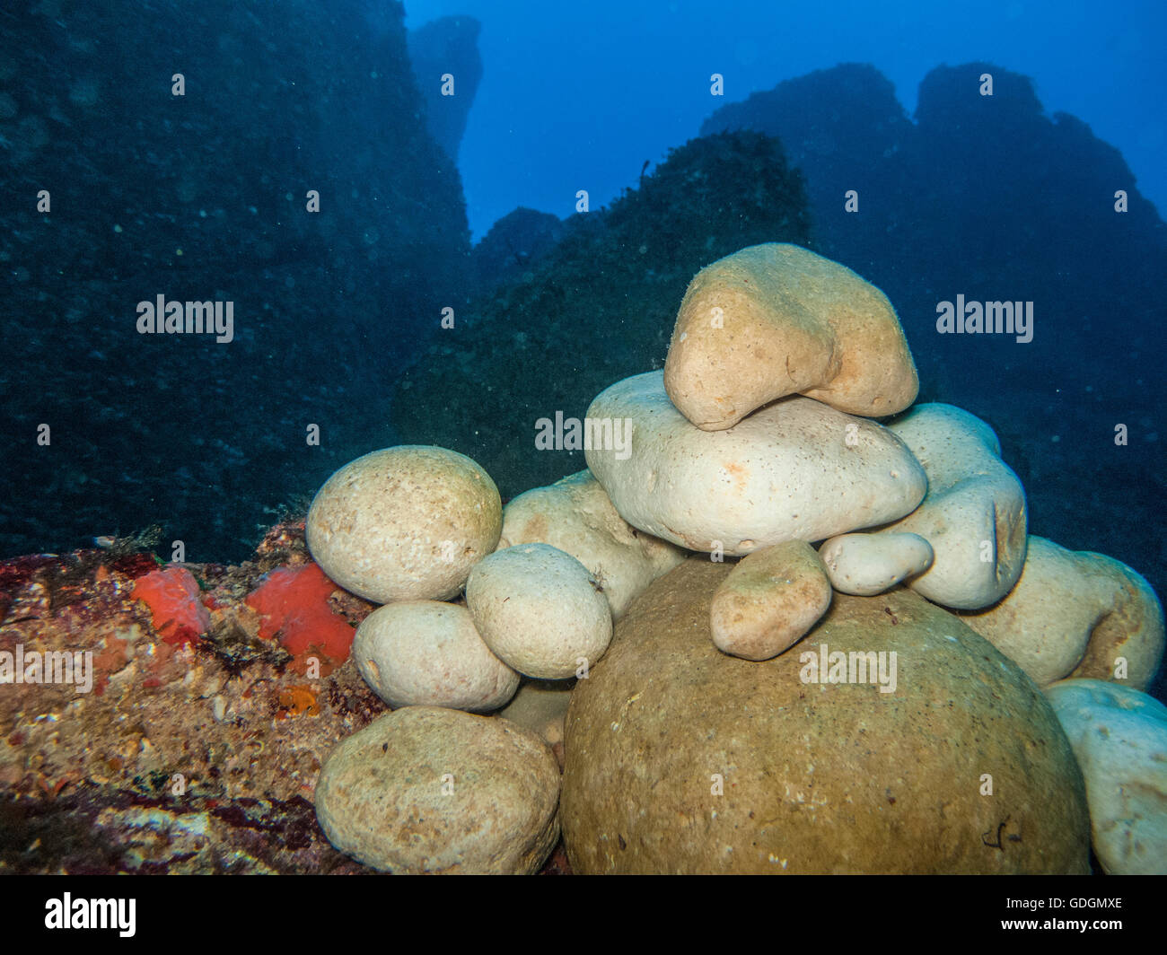 Pebbles underwater hi-res stock photography and images - Alamy
