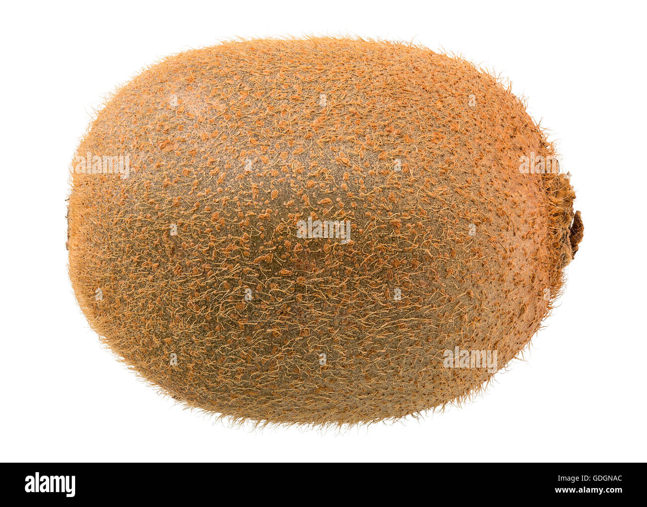 Perfect Fresh Green Kiwi Fruit Isolated on White Background in Full ...