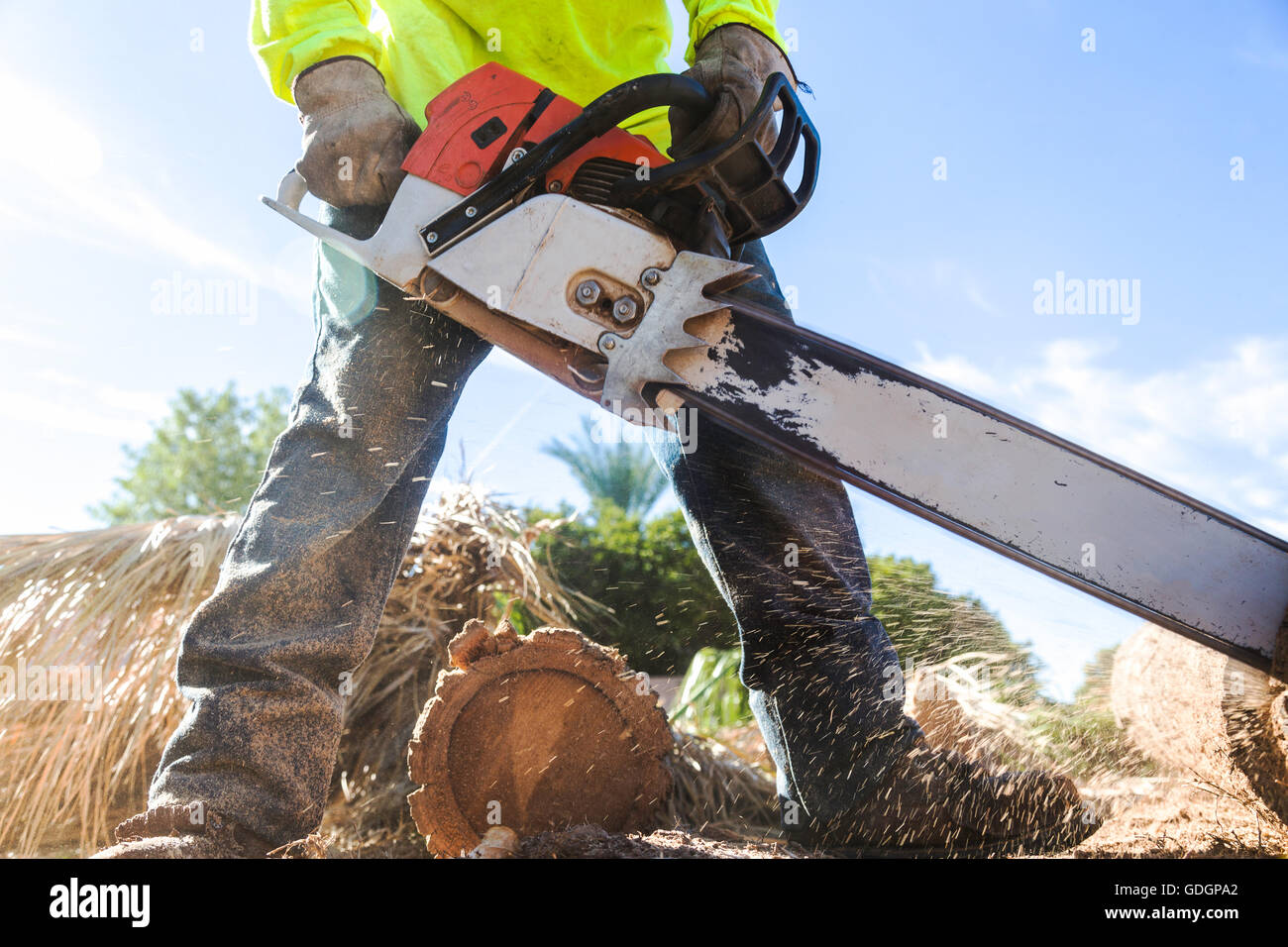 A Forester cutting logs with a chain saw Stock Photo - Alamy