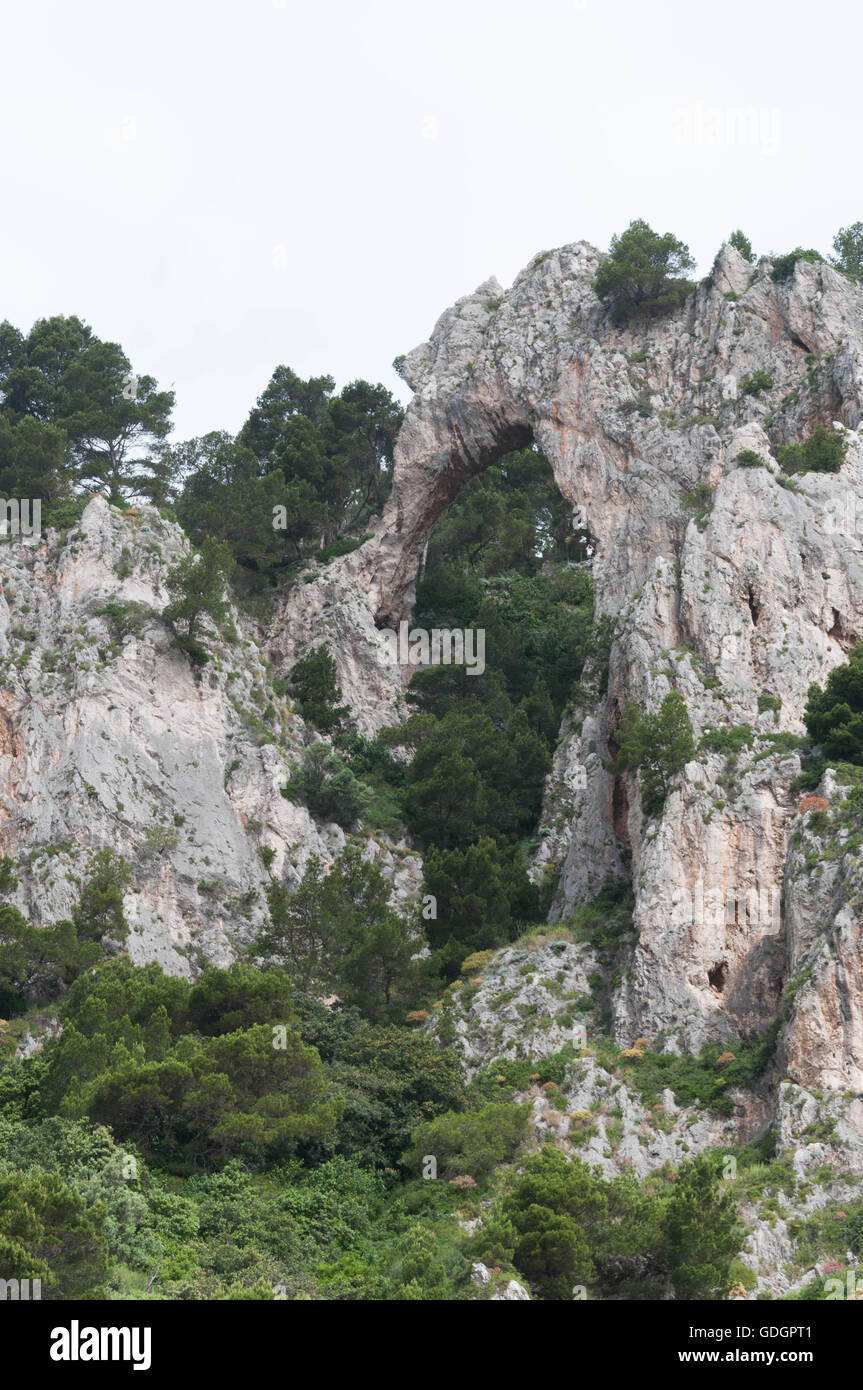 Rocky cliff-side on the Isle of Capri, Italy Stock Photo - Alamy