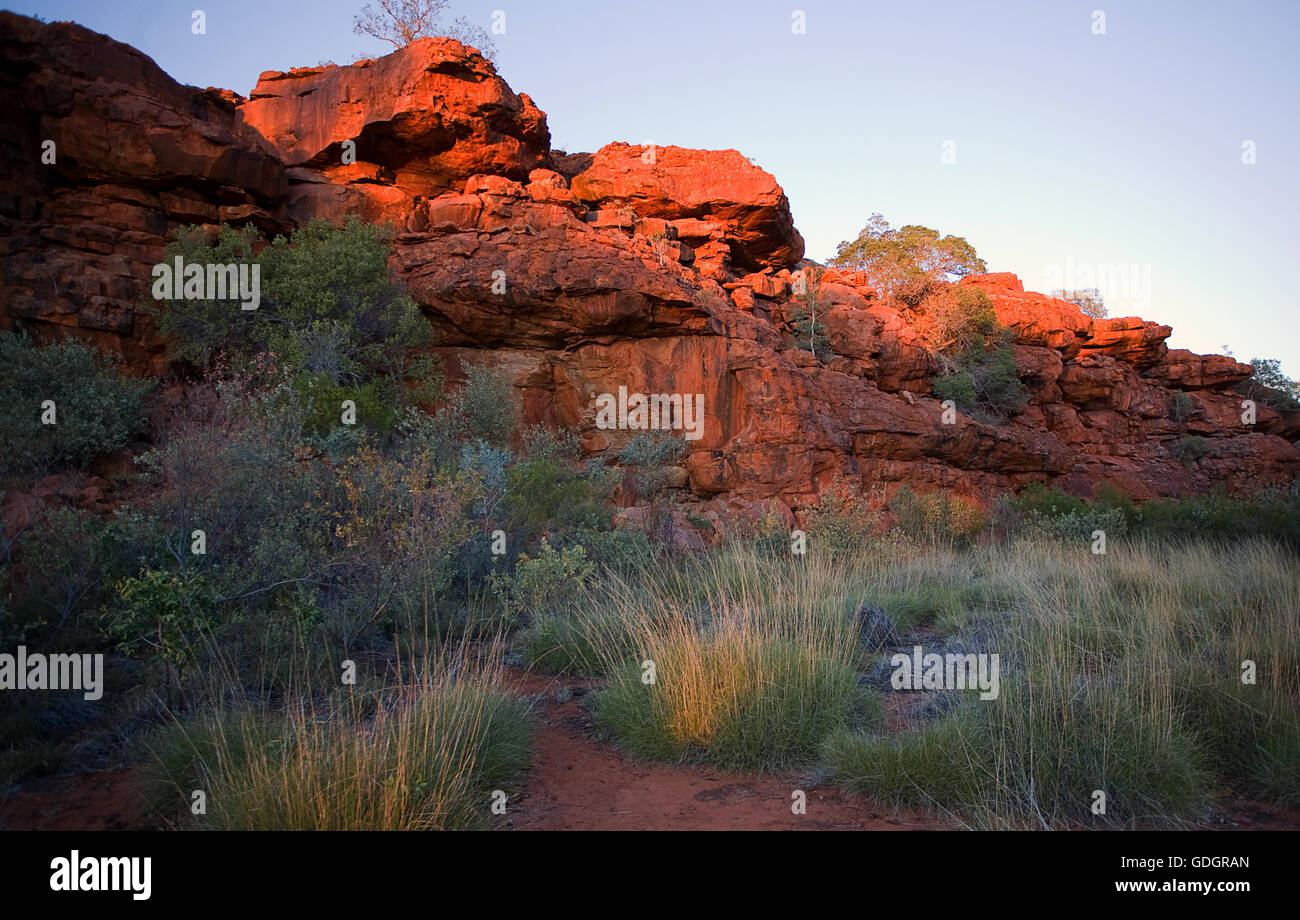 Durba Springs, WA, Australia Stock Photo - Alamy