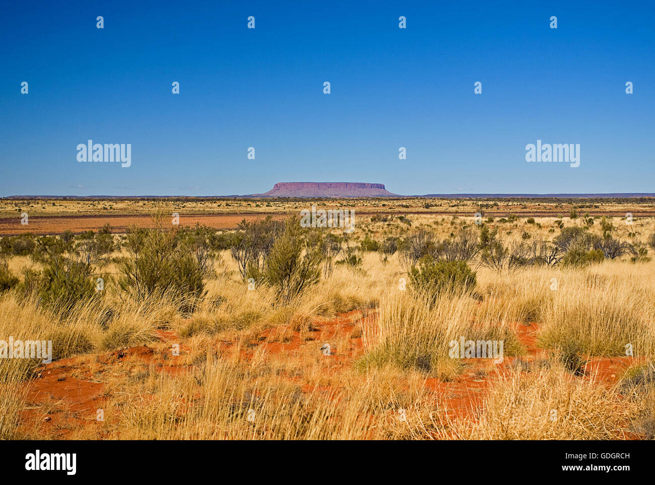 Mt Connor, NT, Australia Stock Photo - Alamy