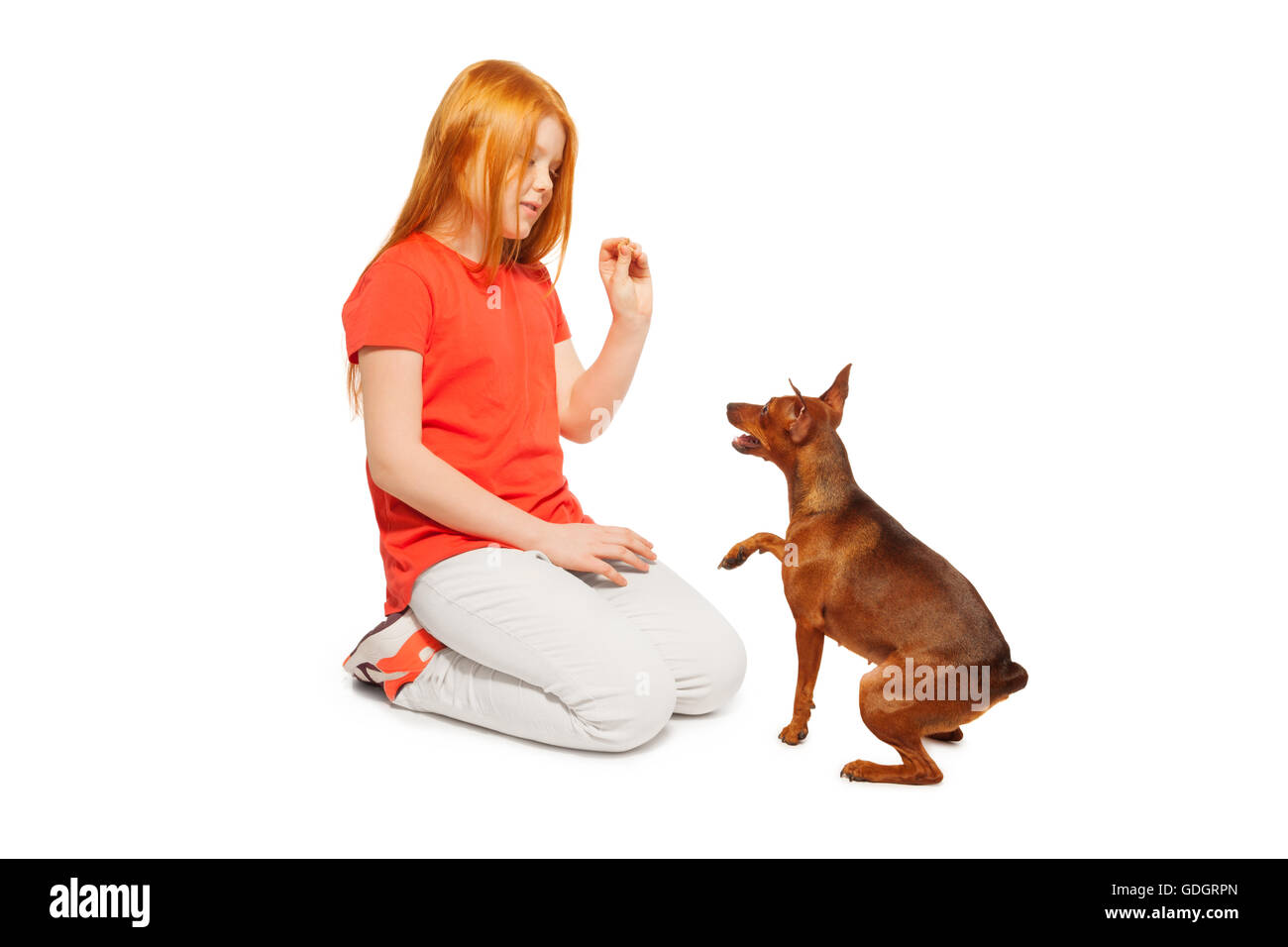 Ginger girl training her lovely pet Stock Photo - Alamy