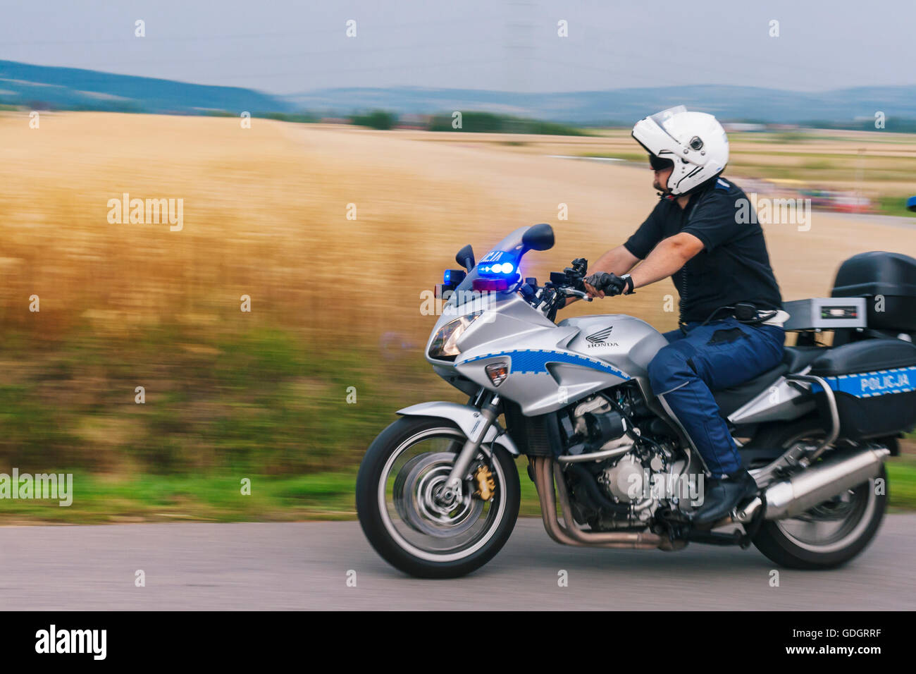 Policeman on the motorcycle passing quickly through fields of grain ...