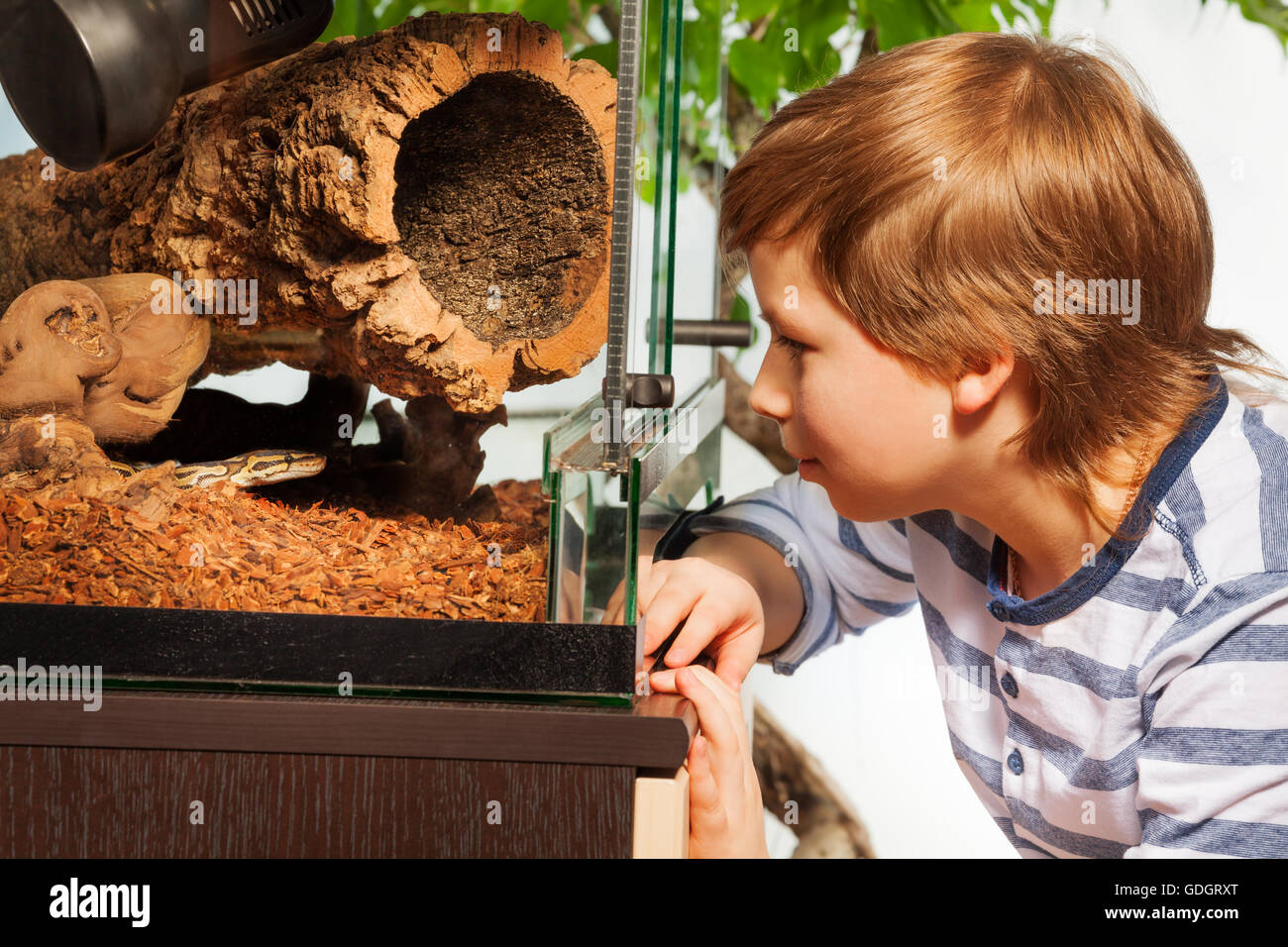 Children python hi-res stock photography and images - Alamy