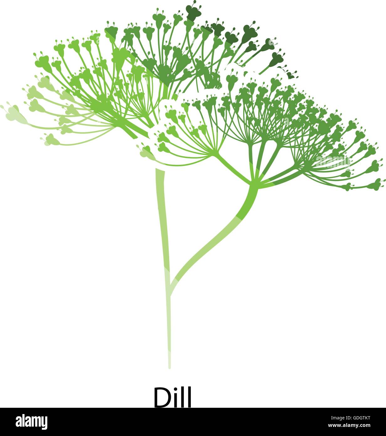 Dill icon. Flat color design. Vector illustration Stock Vector Image ...