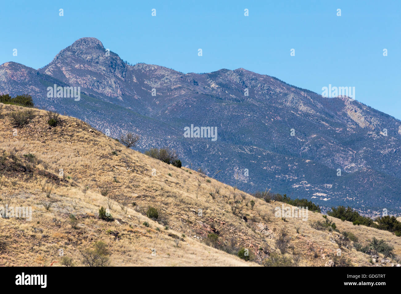 Mount wrightson santa rita mountains hi-res stock photography and ...