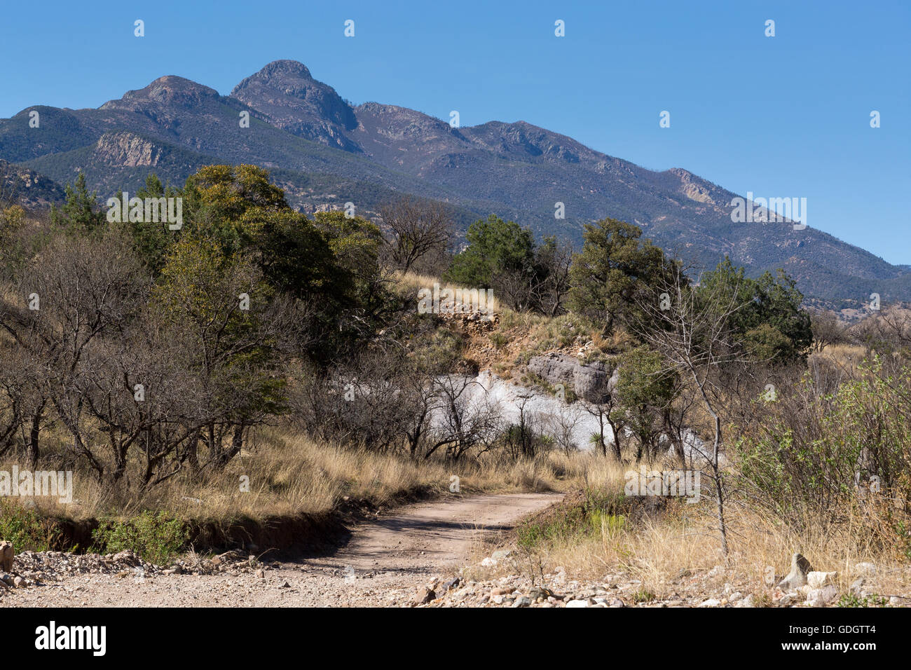 Mount Wrightson of the Santa Rita Mountains towering above nearby ...