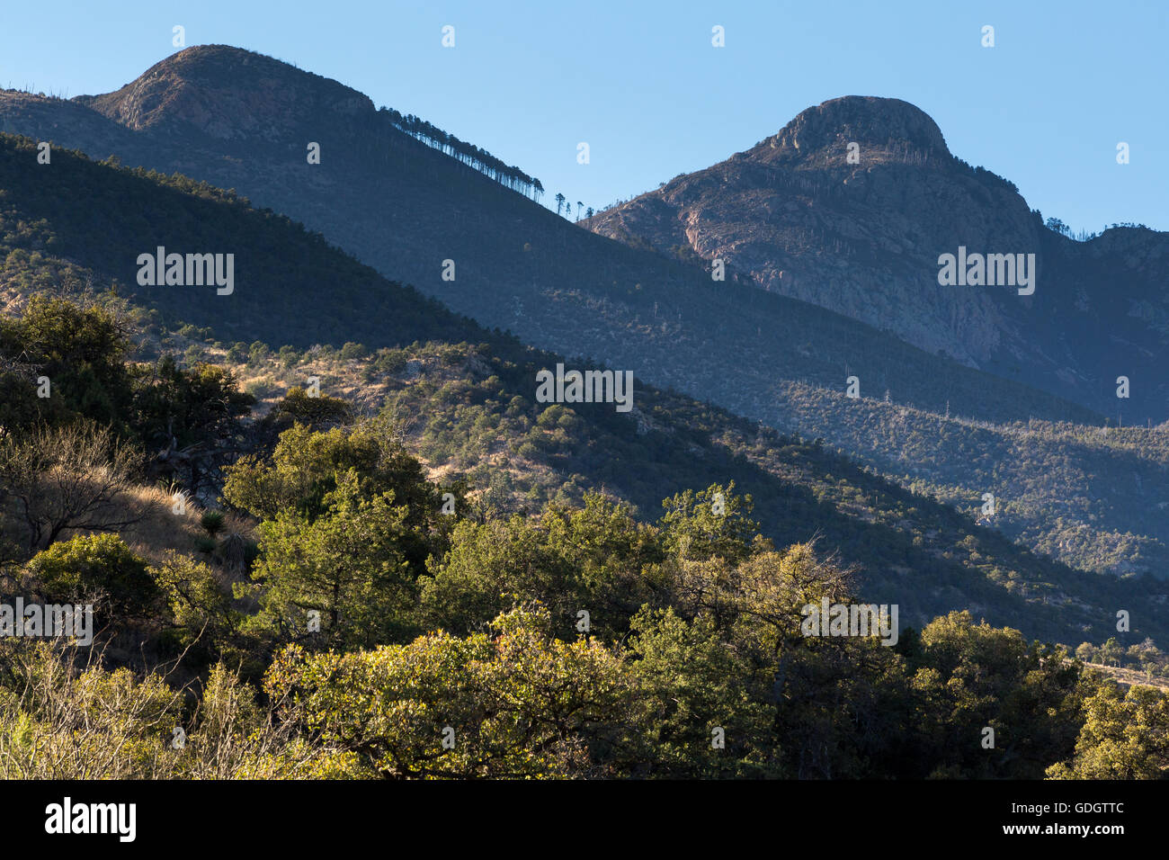 Mount wrightson santa rita mountains hi-res stock photography and ...