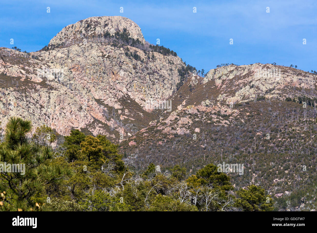Mount Wrightson rising above surrounding granite peaks in the Santa ...