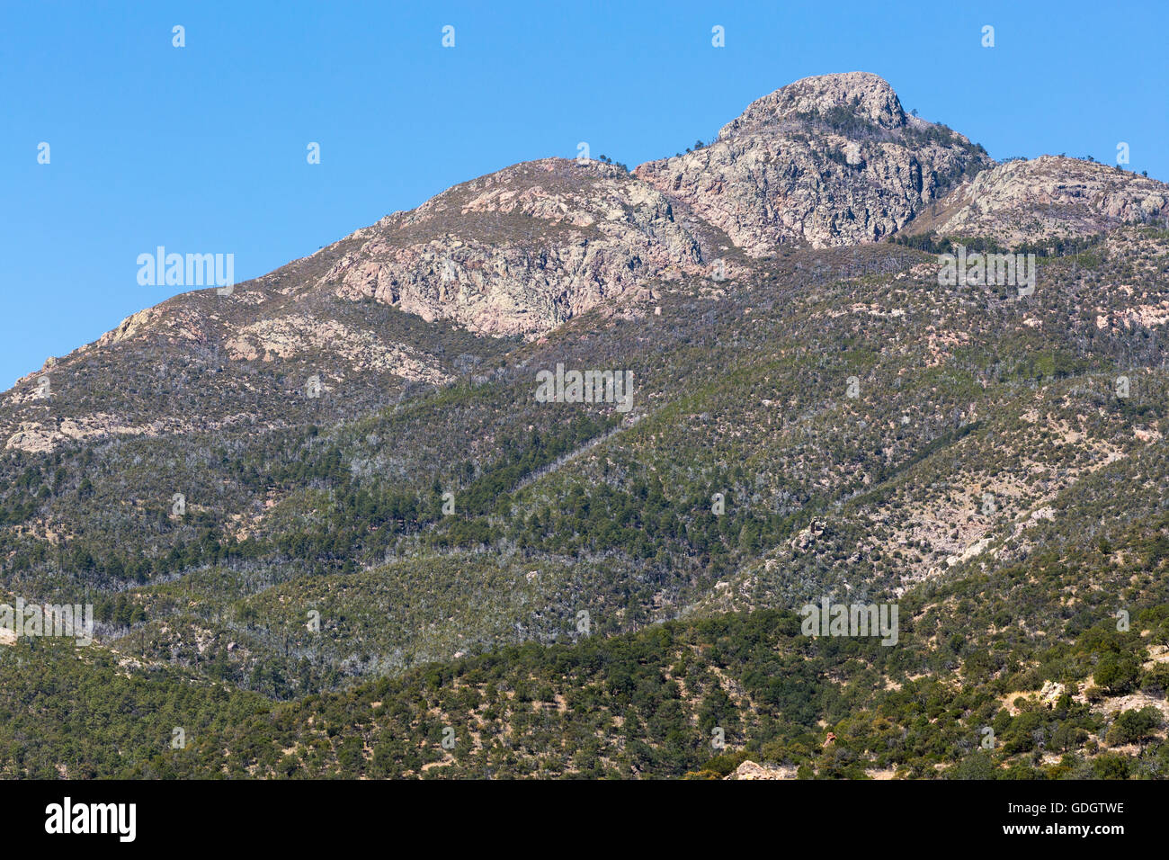 Mount Wrightson rising above surrounding granite peaks and oak and ...