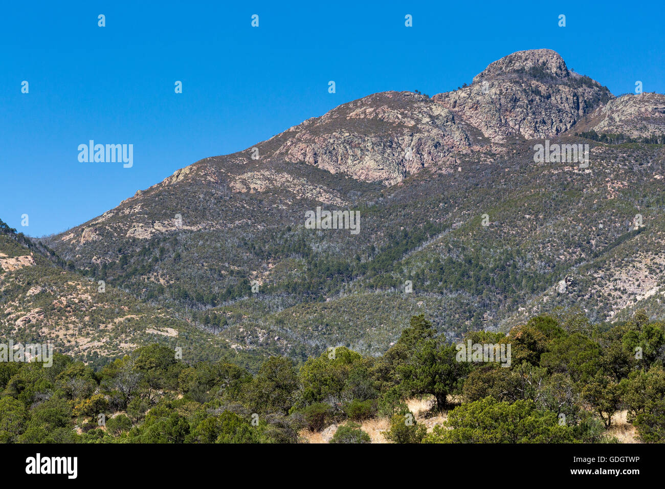 Mount Wrightson above oak and ponderosa pine forests in the Santa Rita ...