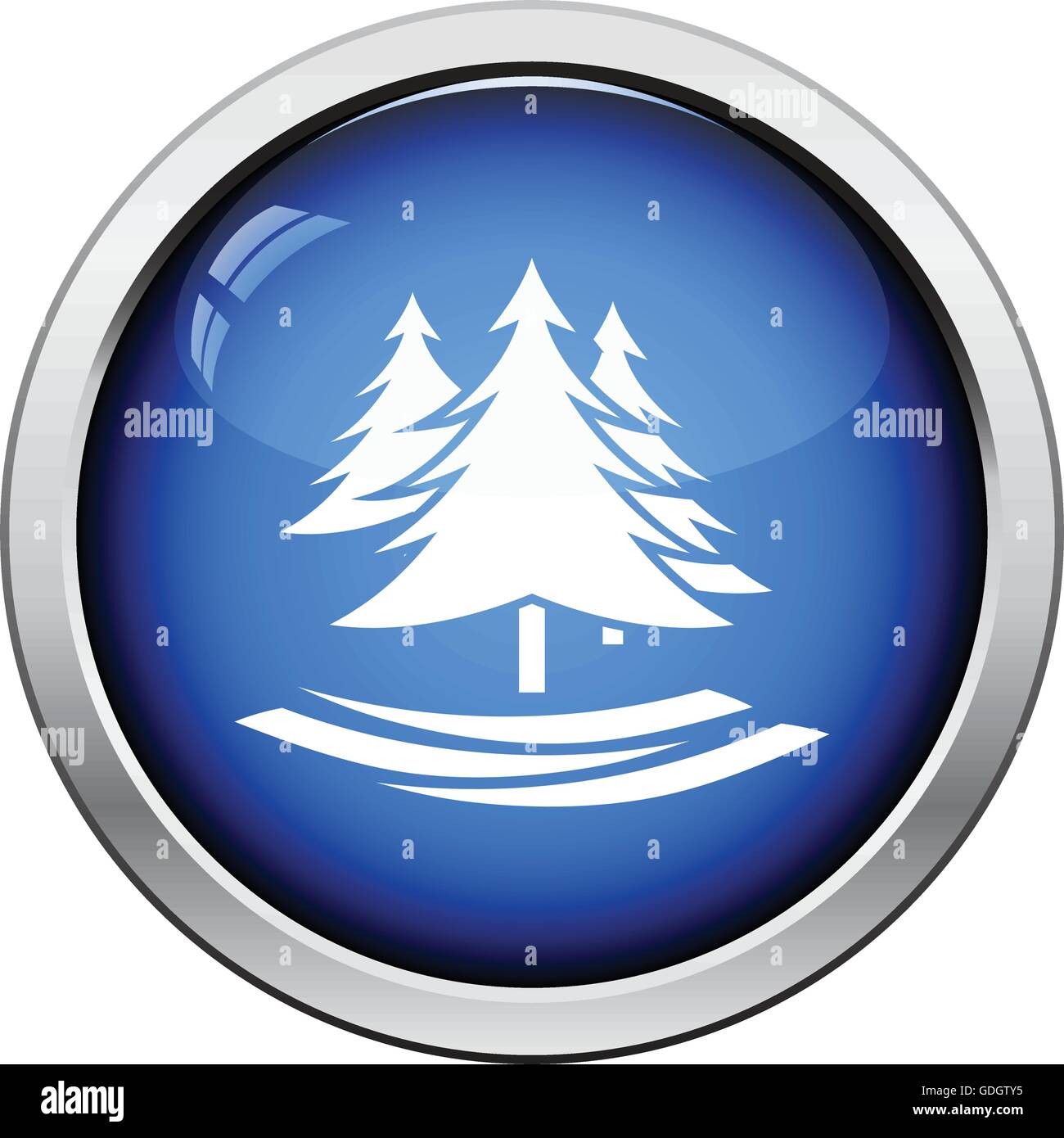 Evergreen tree glossy Stock Vector Images - Alamy