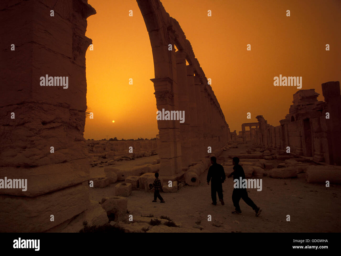 the Roman Ruins of Palmyra in Palmyra in the east of Syria Stock Photo ...