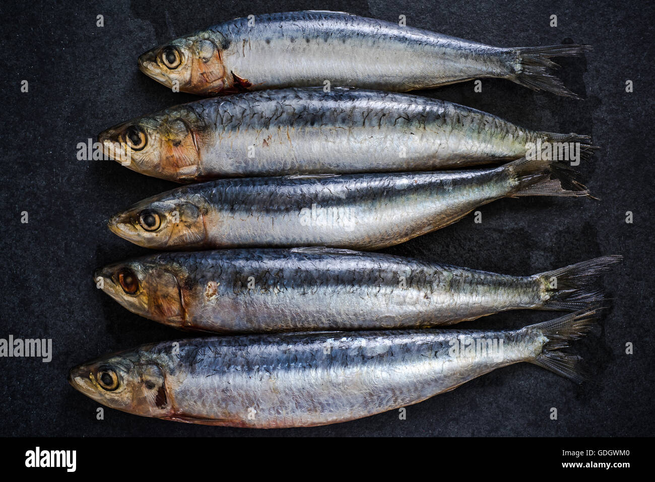 whole raw sardines fish on dark slate, overhead Stock Photo - Alamy