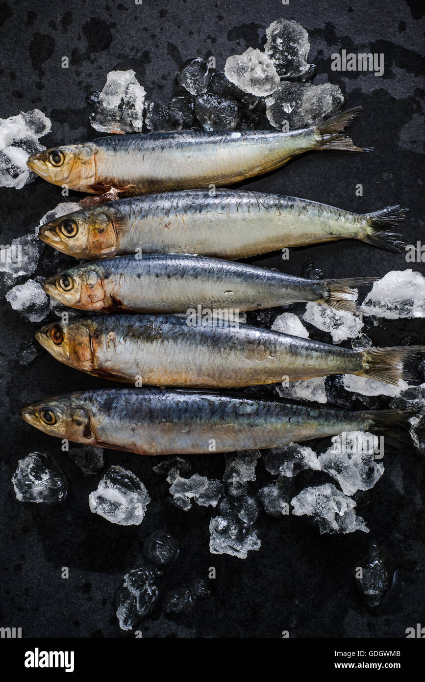 fresh whole fish on ice cubes Stock Photo - Alamy