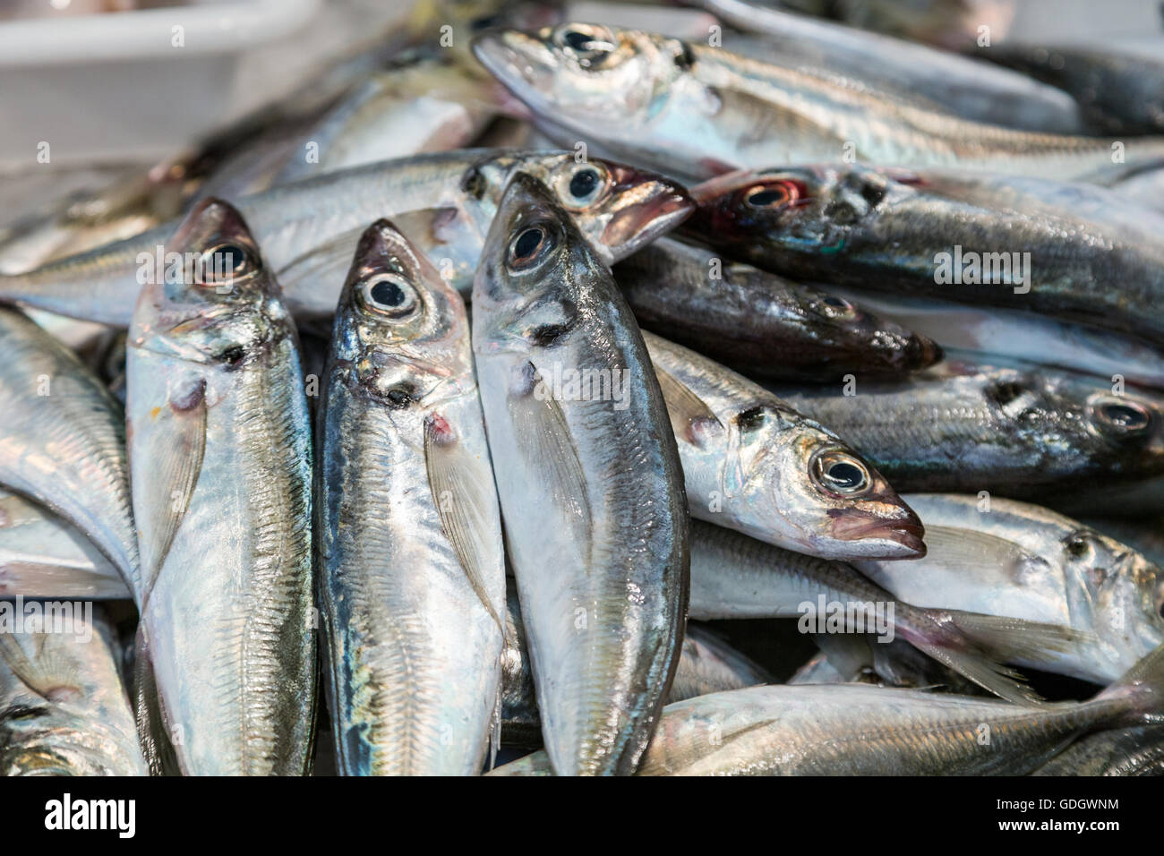 Small fish in fish market hi-res stock photography and images - Alamy