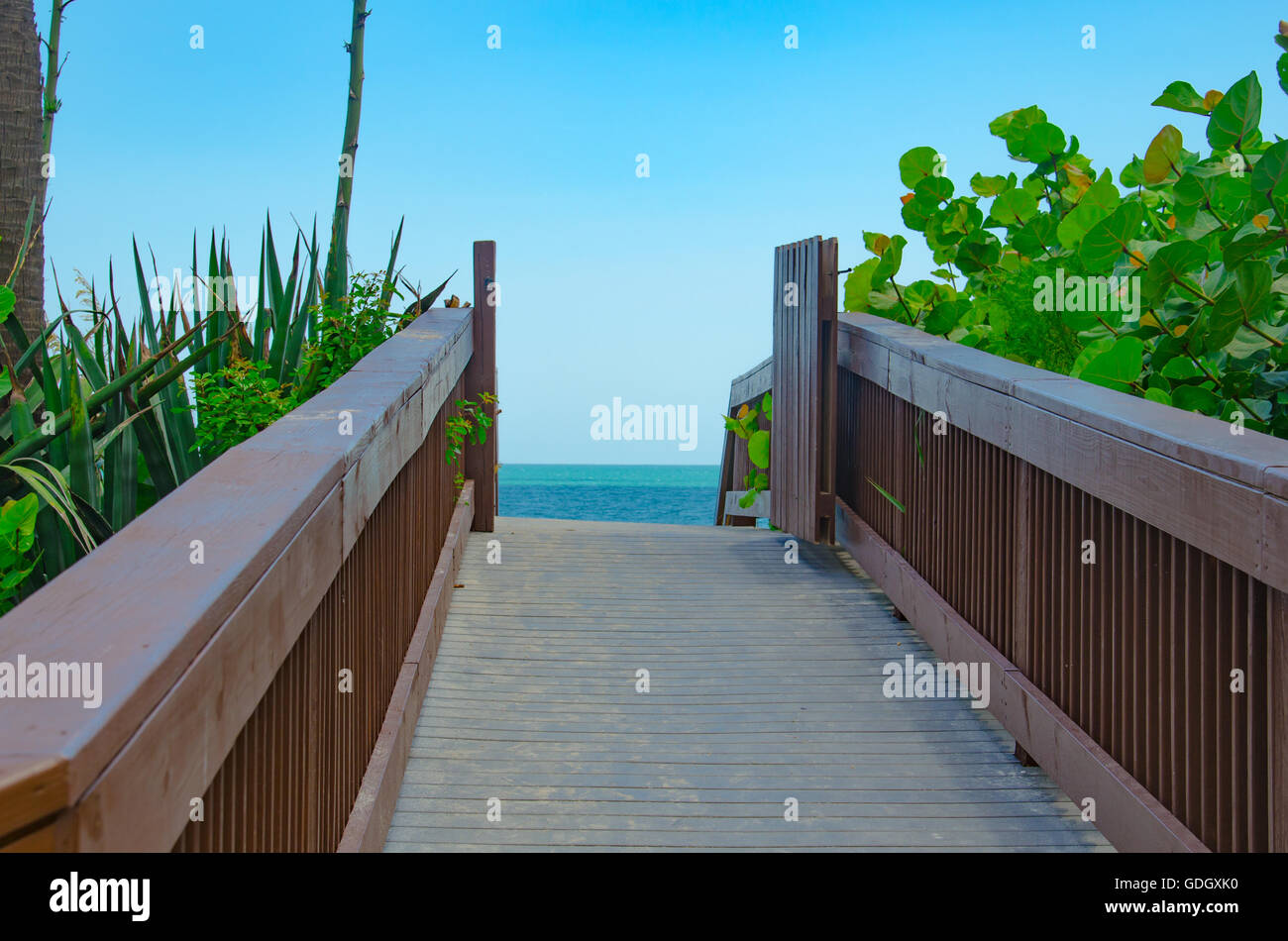 wooden bridge at the beach in Florida Stock Photo - Alamy