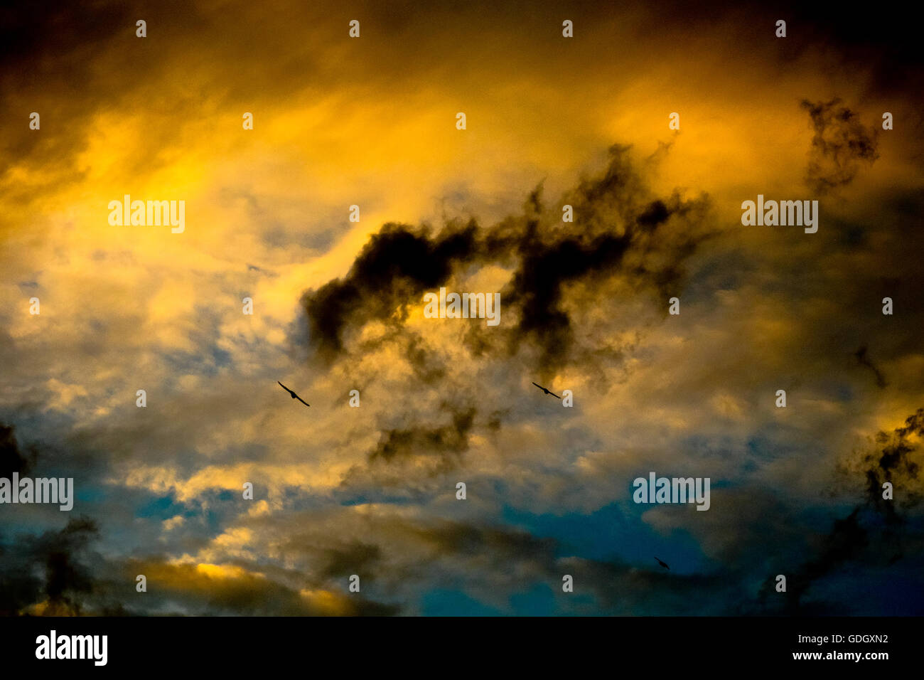 color effects storm sky with clouds in Thailand Stock Photo - Alamy