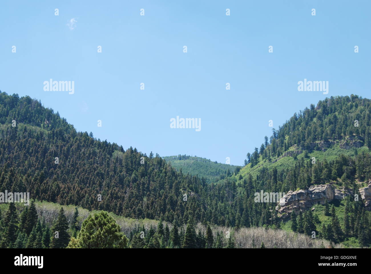 Forested mountain range hi-res stock photography and images - Alamy