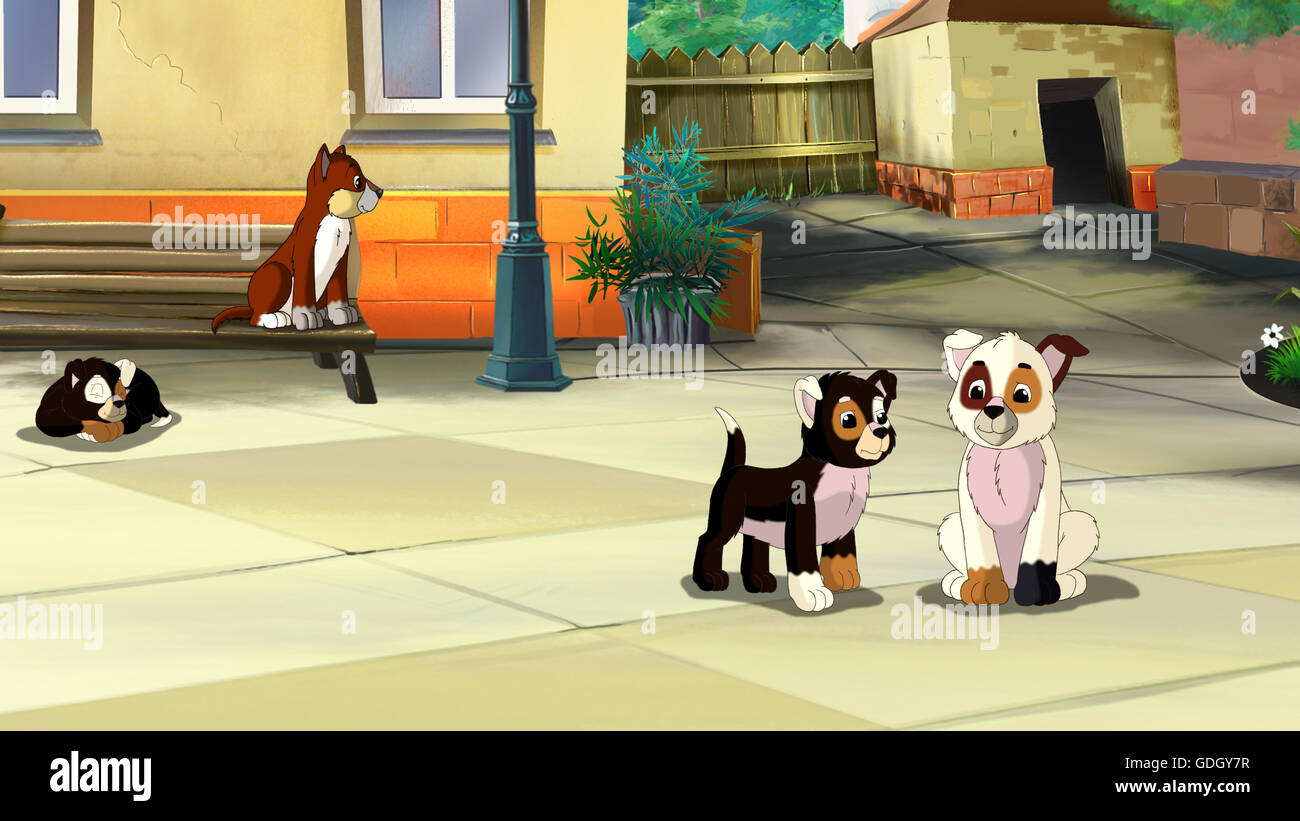 Funny and cute multi-colored puppies in the yard Stock Photo - Alamy