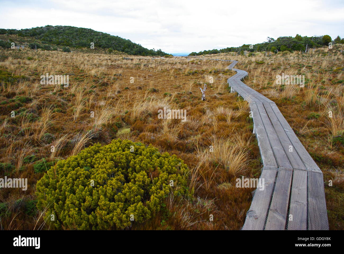 Business path journey hi-res stock photography and images - Alamy