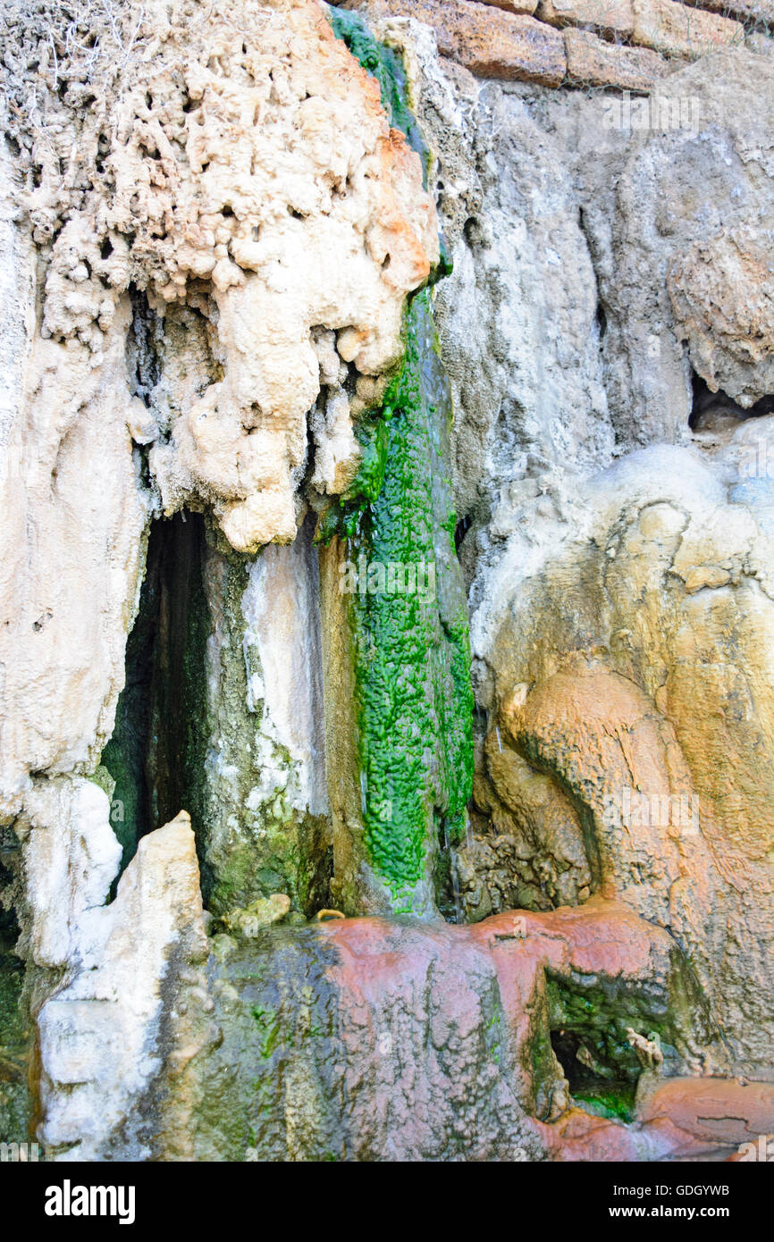 Green algae on the wall that have been created due to water leaking ...