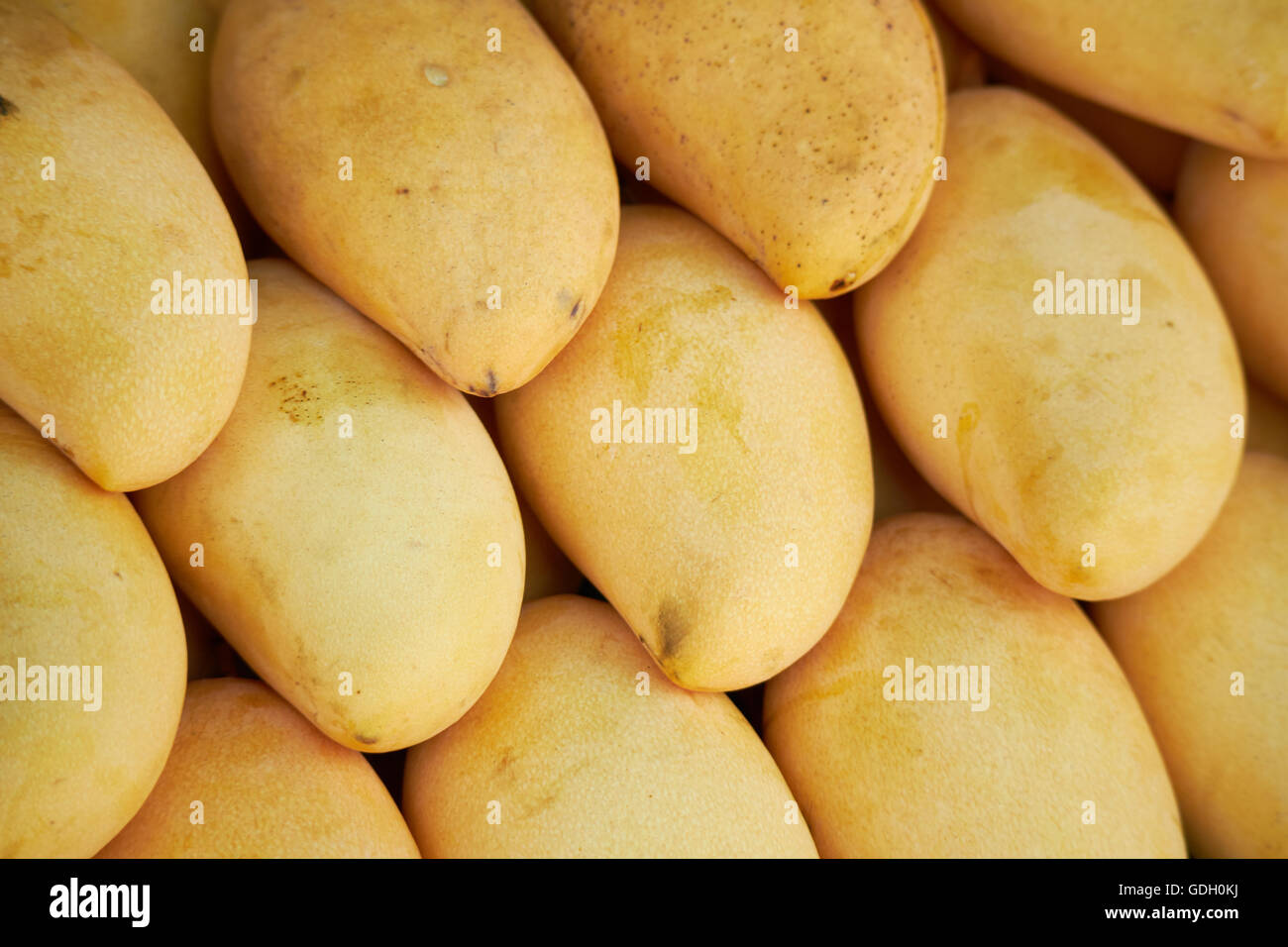 yellow mango in Thailand Stock Photo - Alamy