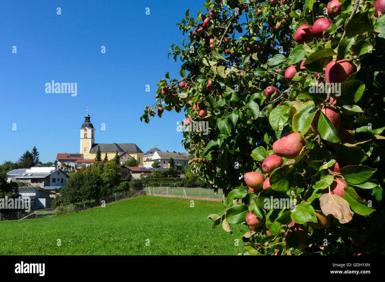 Apple martin hi-res stock photography and images - Alamy