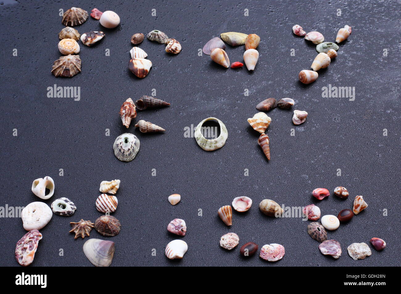 The words pray for nice written in seashells against a black background ...