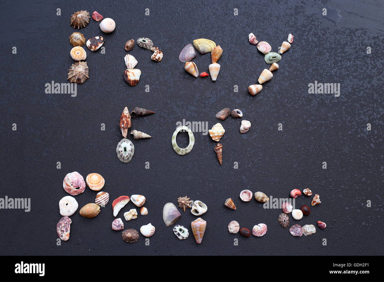 The words pray for peace written in seashells against a black ...