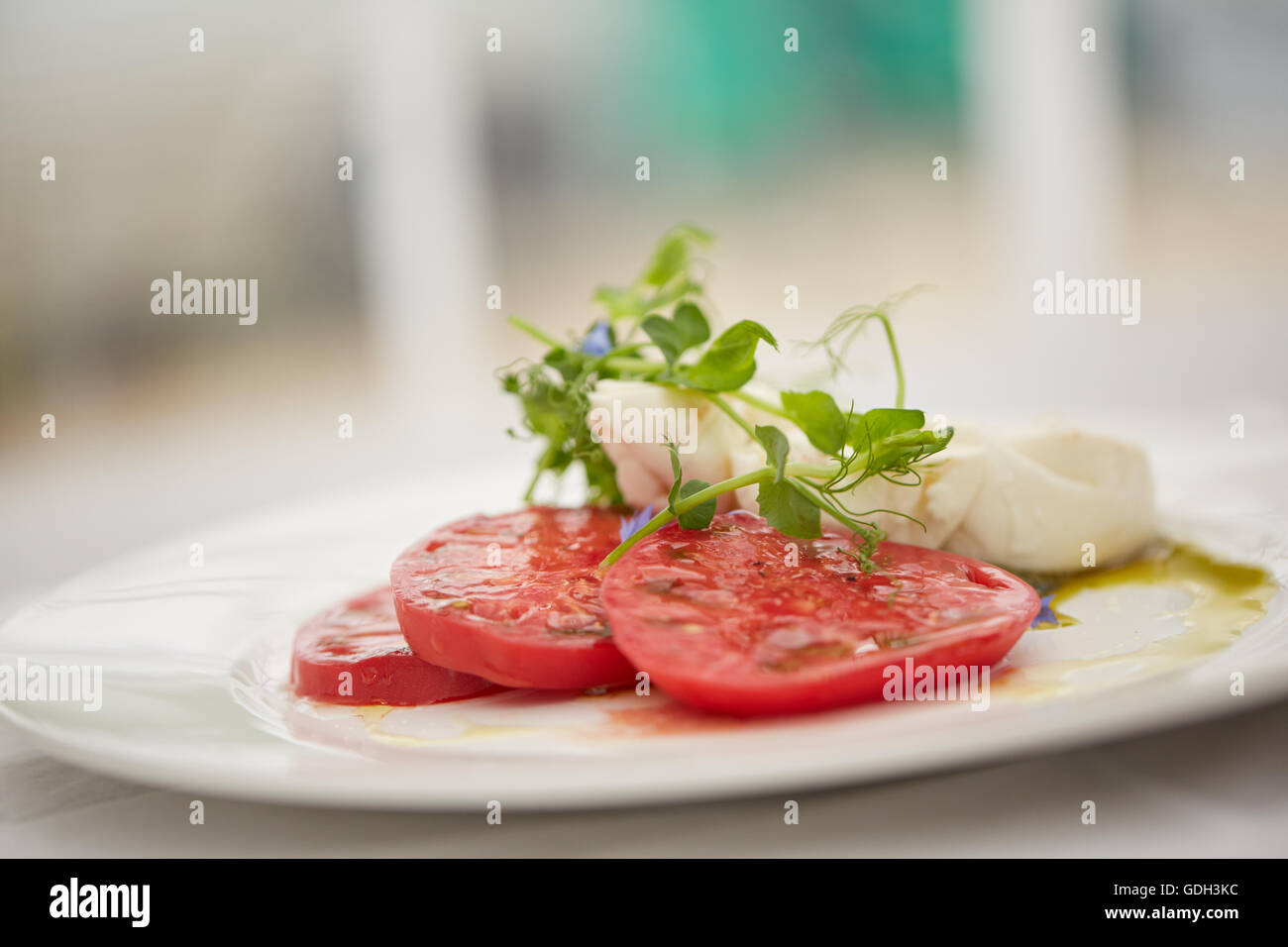 appetizer with tomato and cheese Stock Photo - Alamy