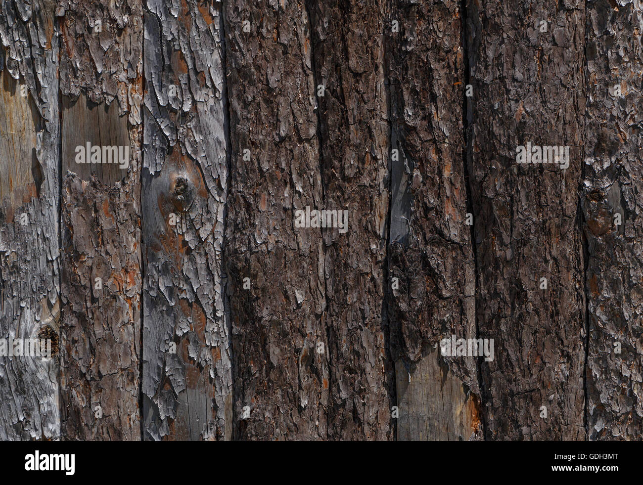 fence made of planks with bark Stock Photo - Alamy