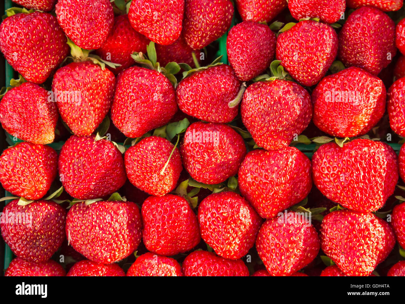 Ripe colorful strawberries close-up Stock Photo - Alamy