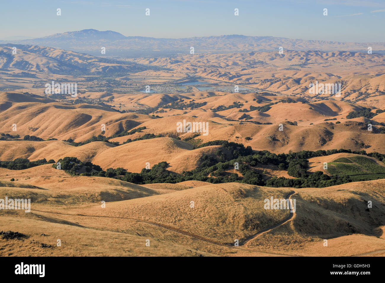 East Bay Area rolling hills and Mt Diablo as seen from Mission Peak ...
