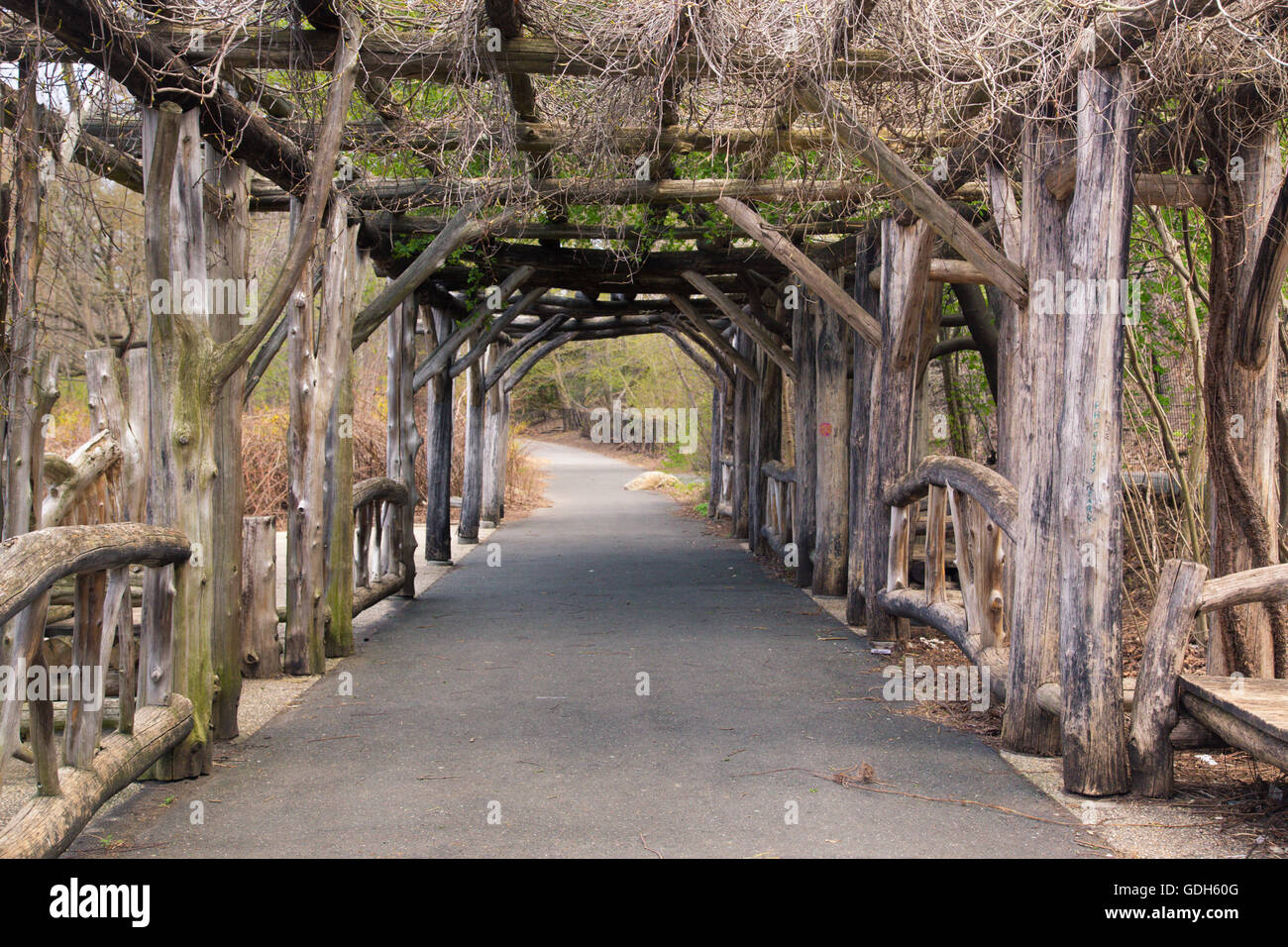 Rustic park walkway through arbor trellis in Prospect Park Brooklyn New ...