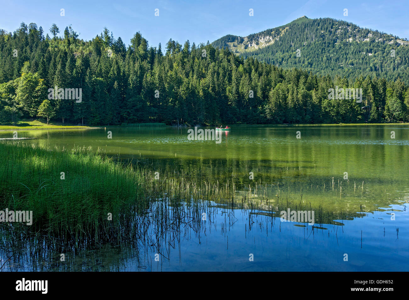 Spitzingsee with rowboat, Schliersee, Brecherspitze mountain behind ...