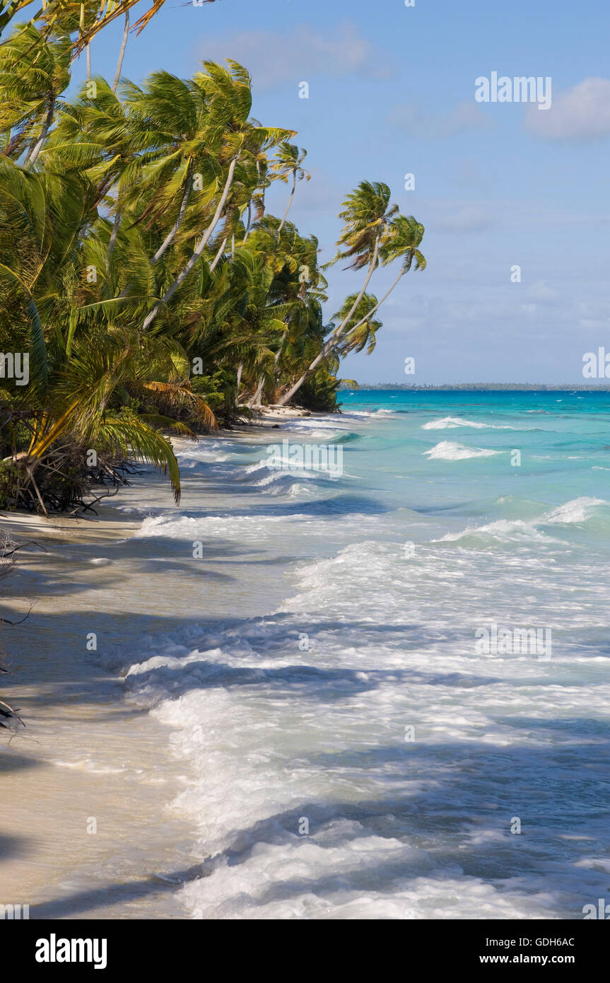 Farea hi-res stock photography and images - Alamy