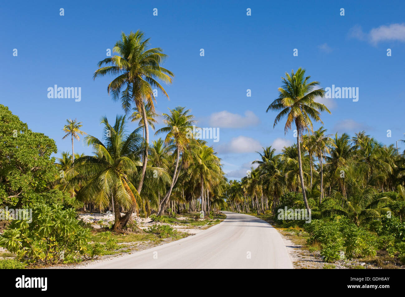 Araro hi-res stock photography and images - Alamy