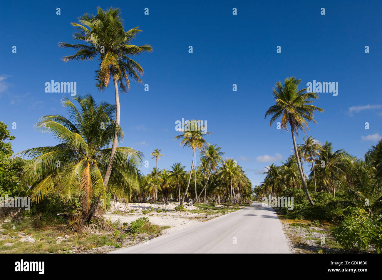 Farea hi-res stock photography and images - Alamy