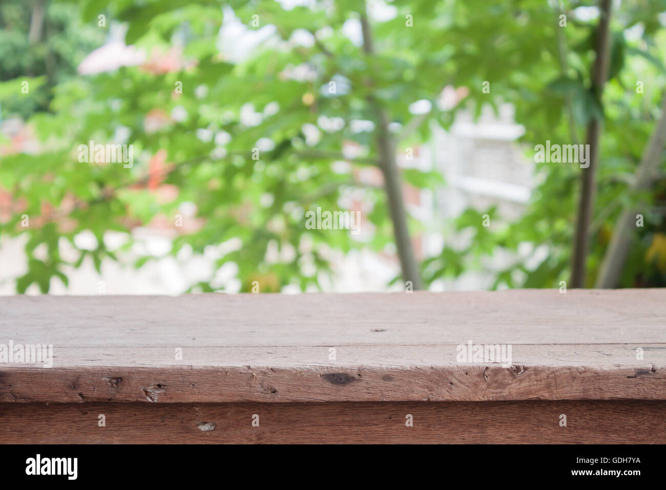 Empty of leaves hi-res stock photography and images - Alamy