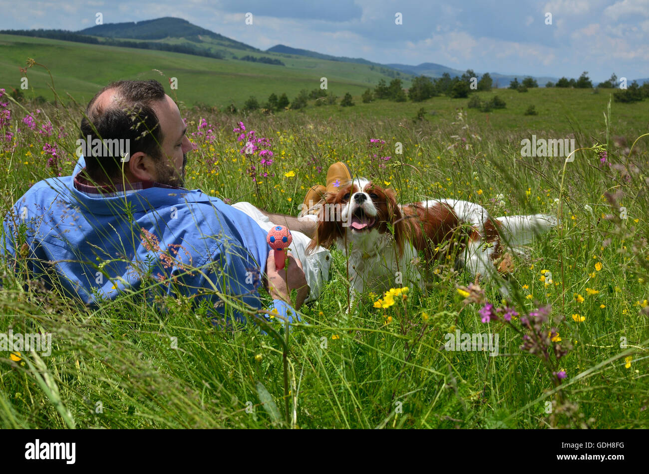 Man is resting on a spring field with his dog Cavalier King Charles ...