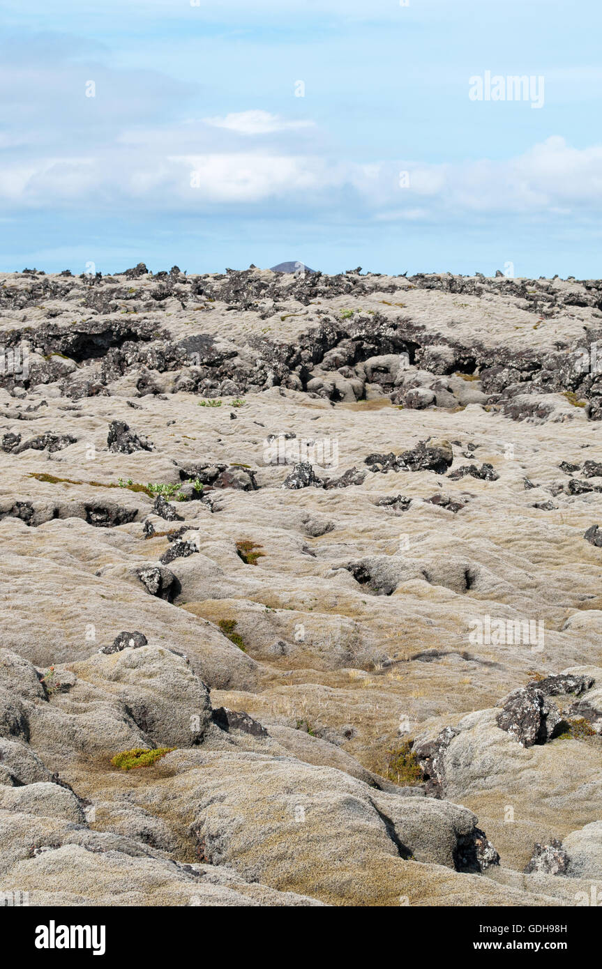 Iceland, Northern Europe: Icelandic landscape with lava fields of black ...