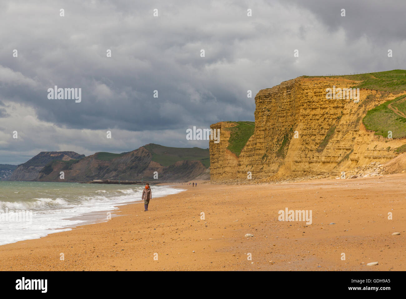 The sandstone strata of West Cliff near Burton Bradstock on the ...